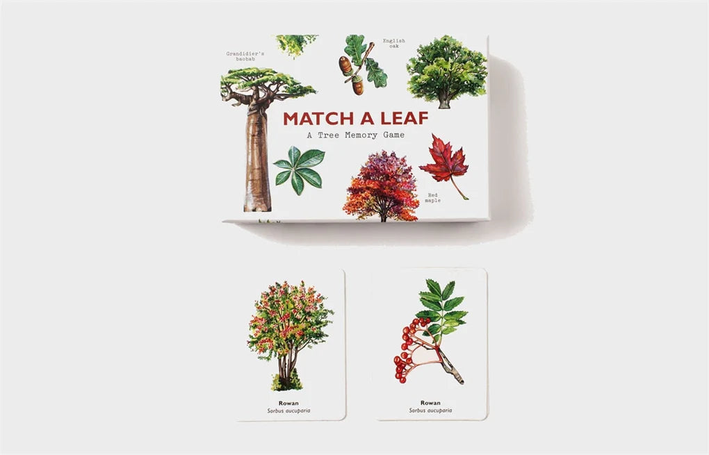 Memory Game Match A Leaf